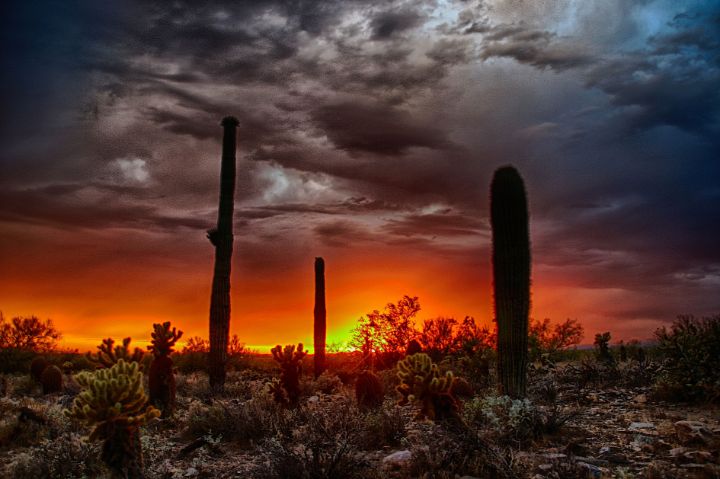 Last Chance - Rob Lopez Photography - Photography, Landscapes & Nature ...