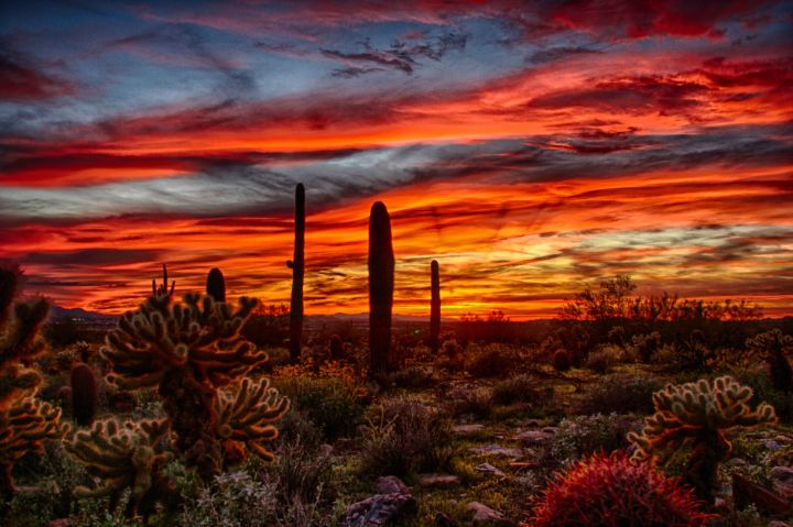 Your Still the One - Rob Lopez Photography - Photography, Landscapes ...