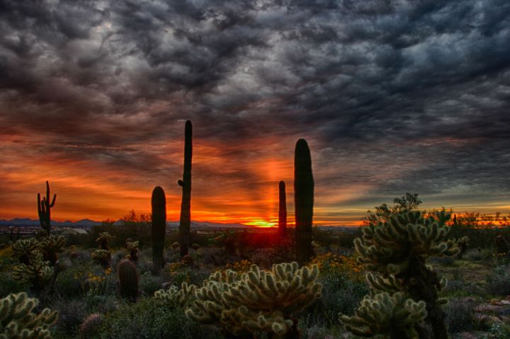 You're One of a Kind - Rob Lopez Photography - Photography, Landscapes ...