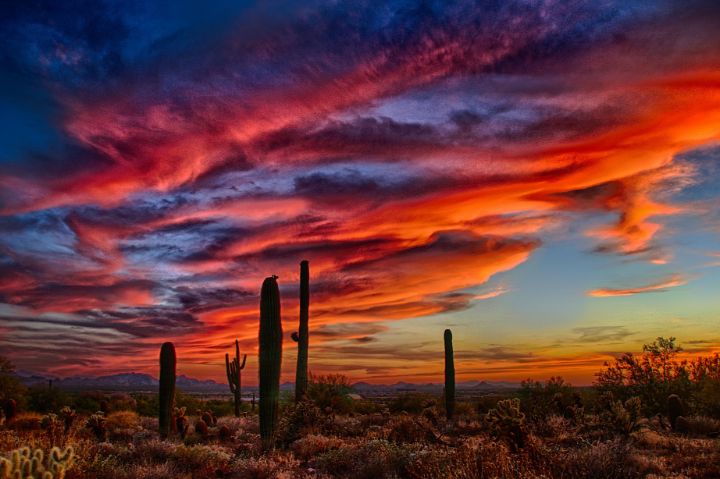 You're By My Side - Rob Lopez Photography - Photography, Landscapes ...