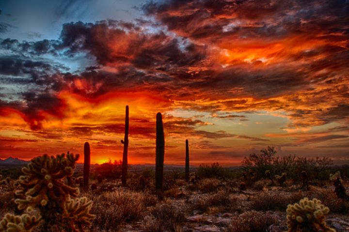 Stealing Your Heart - Rob Lopez Photography - Photography, Landscapes ...