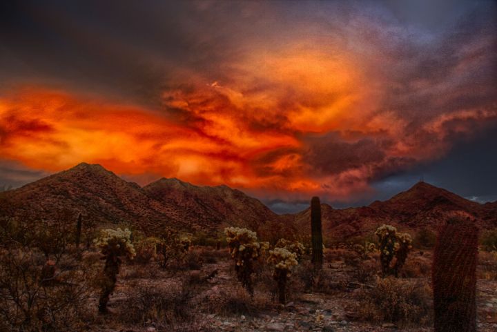 McDowell Mountain Ranch - Rob Lopez Photography - Photography ...