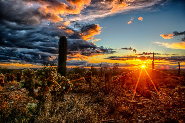 On The Hunt - Rob Lopez Photography - Photography, Landscapes & Nature ...