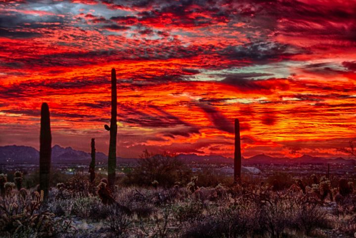 Shadows - Rob Lopez Photography - Photography, Landscapes & Nature ...