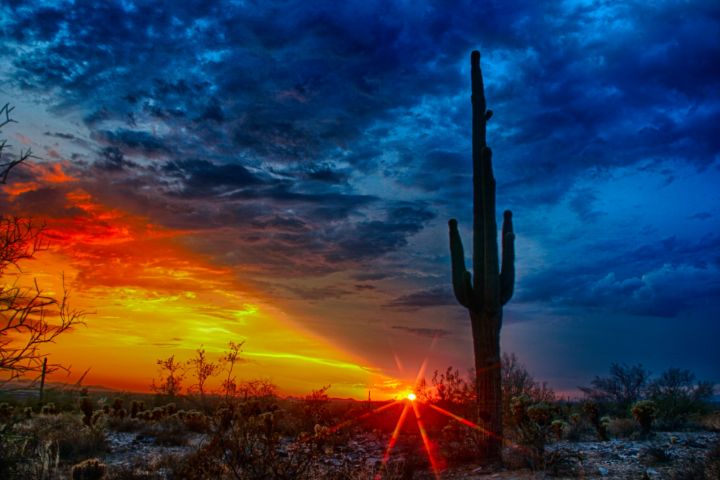 Finding You - Rob Lopez Photography - Photography, Landscapes & Nature ...