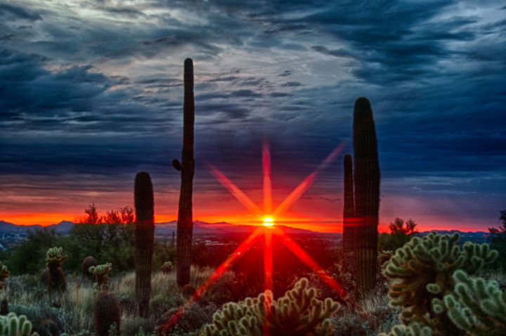 Fresh as a Summer Breeze - Rob Lopez Photography - Photography ...