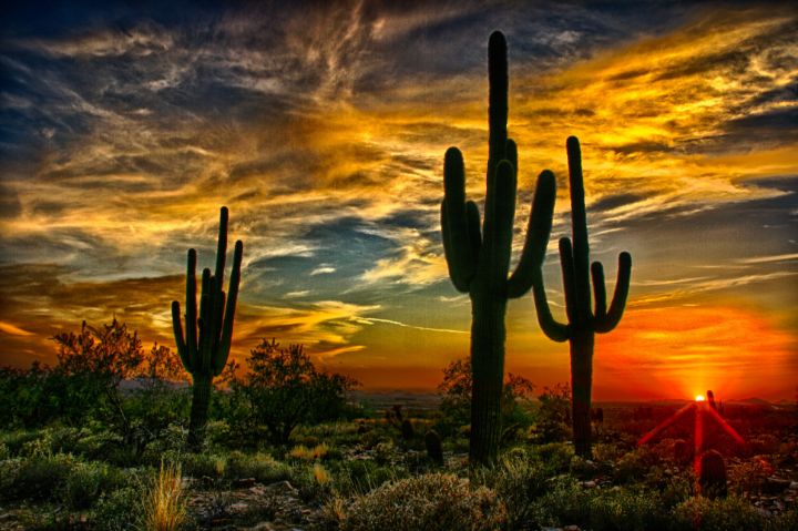 Can't Live Without You - Rob Lopez Photography - Photography ...