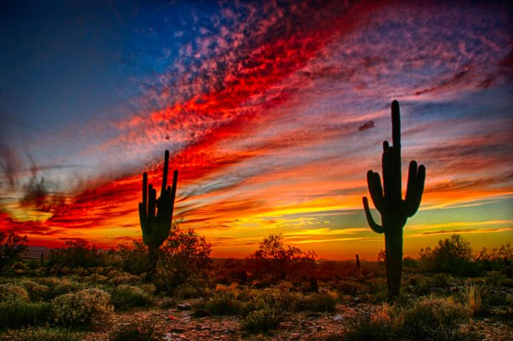 It's Got to Be Real - Rob Lopez Photography - Photography, Landscapes ...