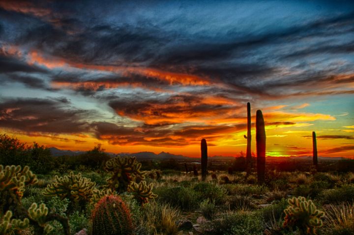 Pretty as Can Be - Rob Lopez Photography - Photography, Landscapes ...