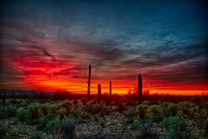 Concealed Love - Rob Lopez Photography - Photography, Landscapes ...