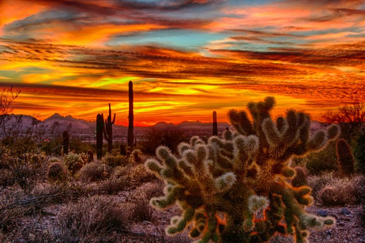 Landmine - Rob Lopez Photography - Photography, Landscapes & Nature ...