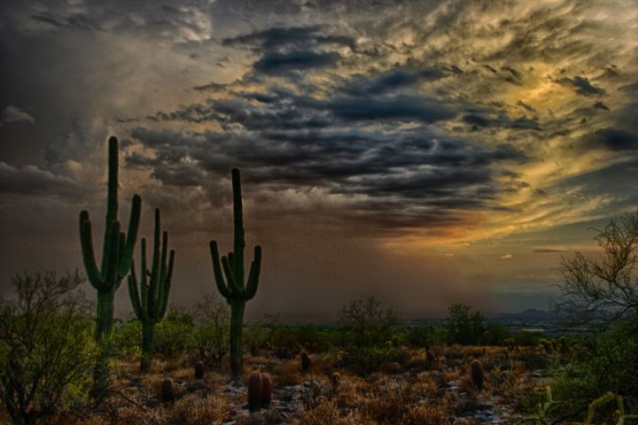 The Dust - Rob Lopez Photography - Photography, Landscapes & Nature ...