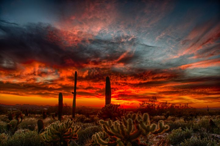 Let the Colors Pour - Rob Lopez Photography - Photography, Landscapes ...