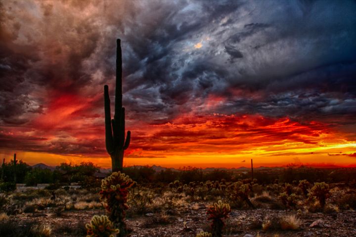No One Gets to Get It for Free - Rob Lopez Photography - Photography ...