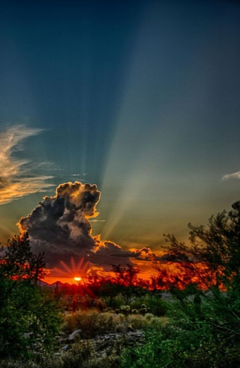 Peeking Through - Rob Lopez Photography - Photography, Landscapes ...