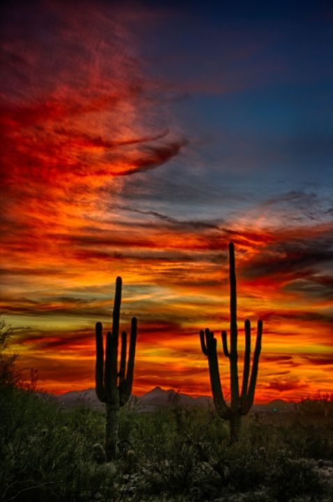Powerful - Rob Lopez Photography - Photography, Landscapes & Nature ...