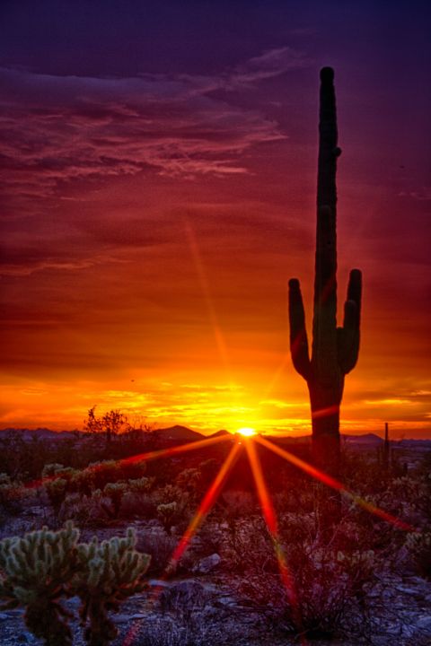 The Light - Rob Lopez Photography - Photography, Landscapes & Nature ...