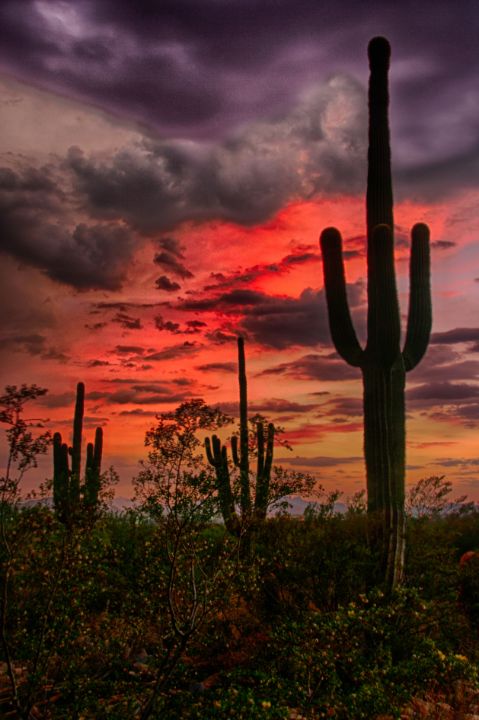 Falling in Love - Rob Lopez Photography - Photography, Landscapes ...