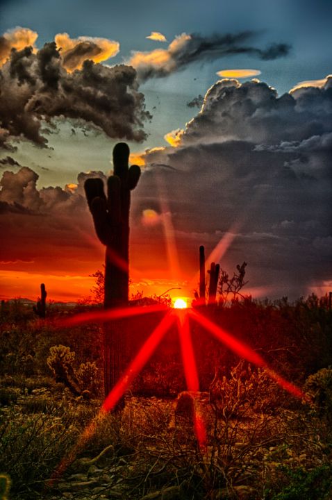 Oh My - Rob Lopez Photography - Photography, Landscapes & Nature ...