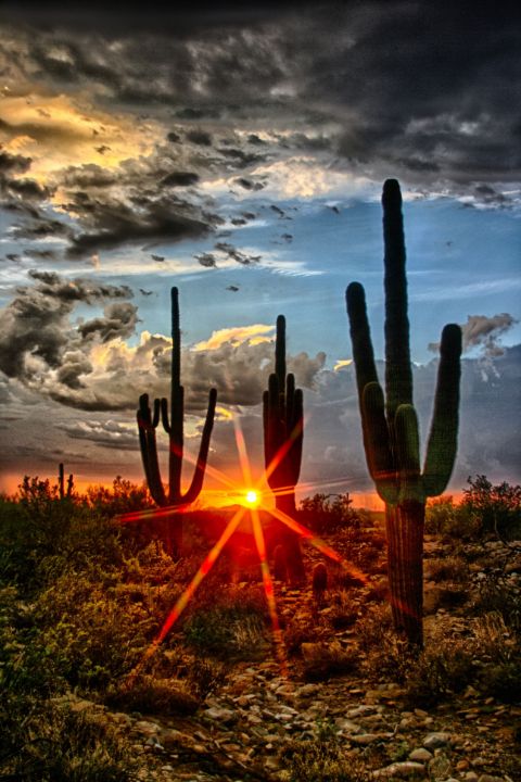 Sun Flare Sunset - Rob Lopez Photography - Photography, Landscapes ...