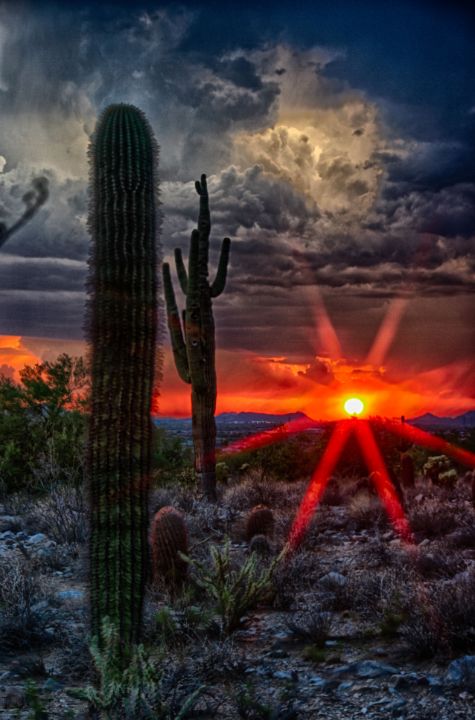 Release - Rob Lopez Photography - Photography, Landscapes & Nature ...