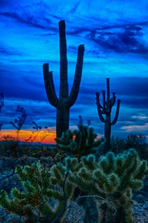 It's A Love Thing - Rob Lopez Photography - Photography, Landscapes ...