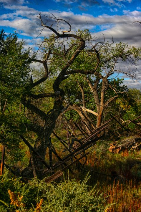 Tank Blockade - Rob Lopez Photography - Photography, Landscapes ...