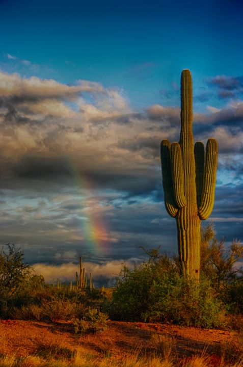 Anything Is Possible - Rob Lopez Photography - Photography, Landscapes ...