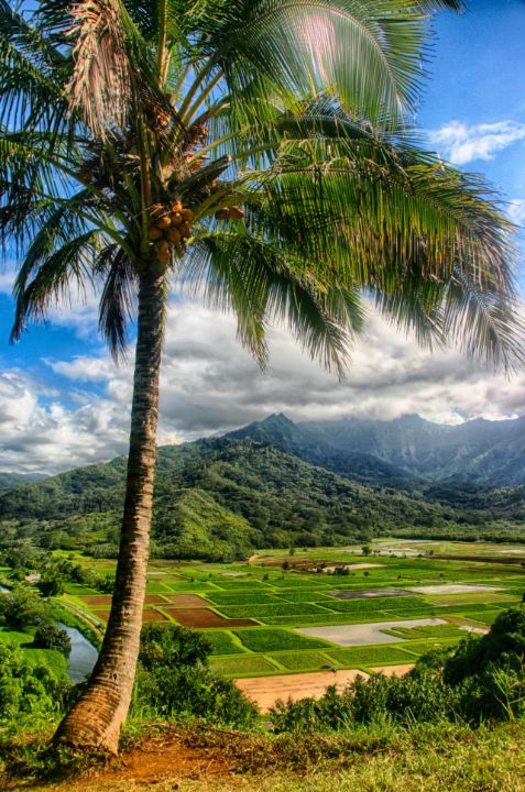 Hanalei Valley - Rob Lopez Photography - Photography, Landscapes ...
