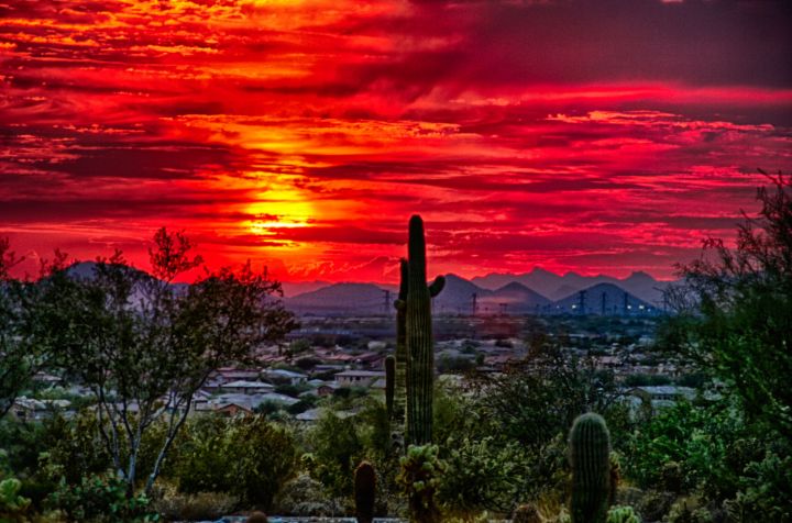 Peeking Through - Rob Lopez Photography - Photography, Landscapes ...