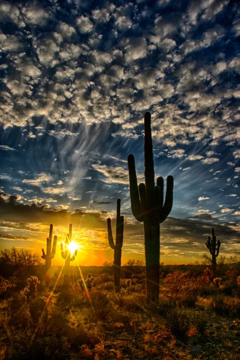 Don't Stop - Rob Lopez Photography - Photography, Landscapes & Nature ...