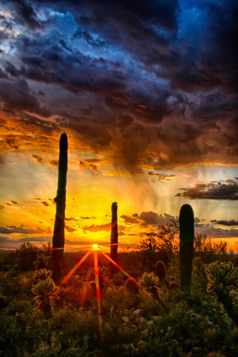 Out of One's Mind - Rob Lopez Photography - Photography, Landscapes ...