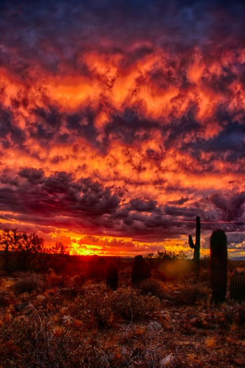 Living For The Two of Us - Rob Lopez Photography - Photography ...