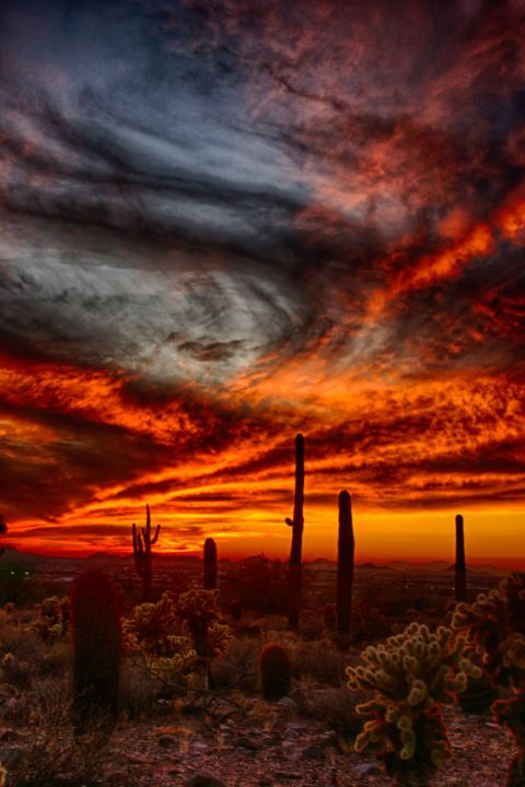 I Can feel Your Heartbeat - Rob Lopez Photography - Photography ...