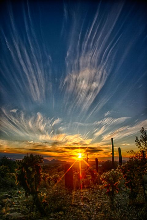 It's All Because of You - Rob Lopez Photography - Photography ...