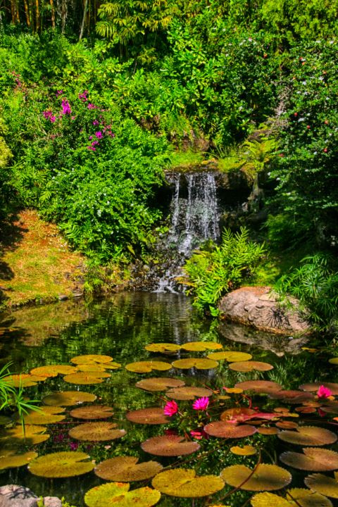 The Pond - Rob Lopez Photography - Photography, Landscapes & Nature ...