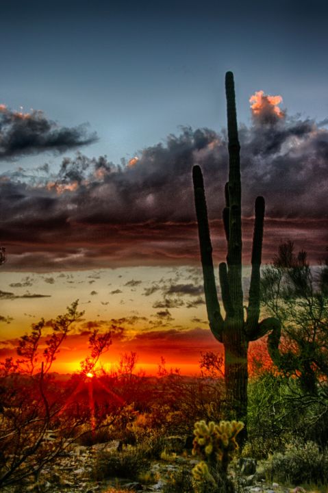 Spread Love - Rob Lopez Photography - Photography, Landscapes & Nature ...