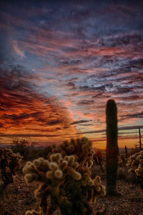 You Can Be The Dreamer - Rob Lopez Photography - Photography ...