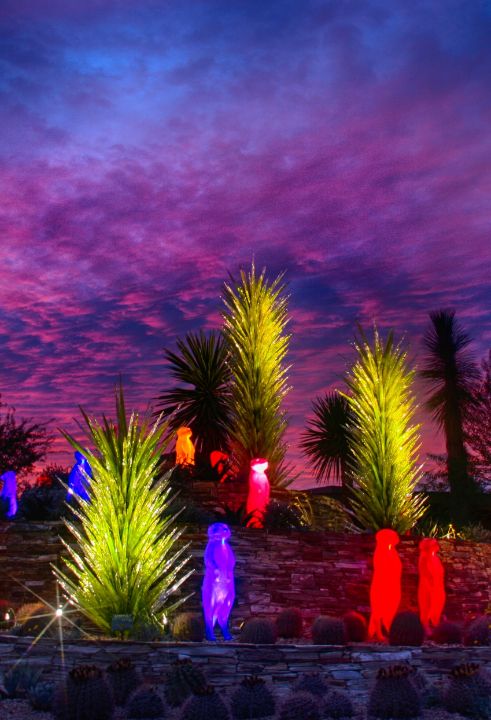Chihuly Cactus - Rob Lopez Photography - Photography, Landscapes ...