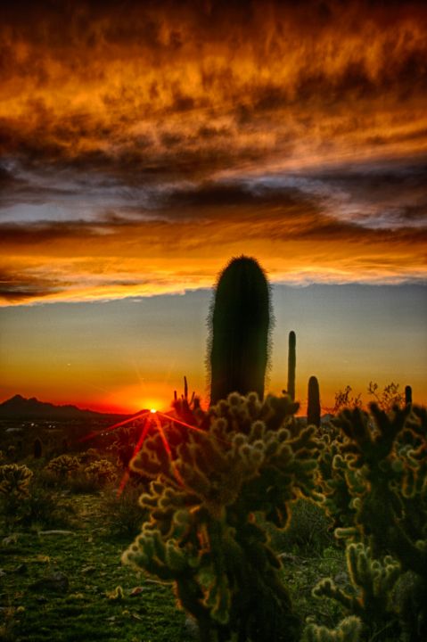Listen to the Light - Rob Lopez Photography - Photography, Landscapes ...