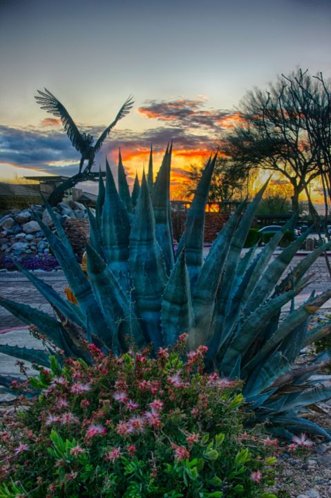 In Flight - Rob Lopez Photography - Photography, Landscapes & Nature ...