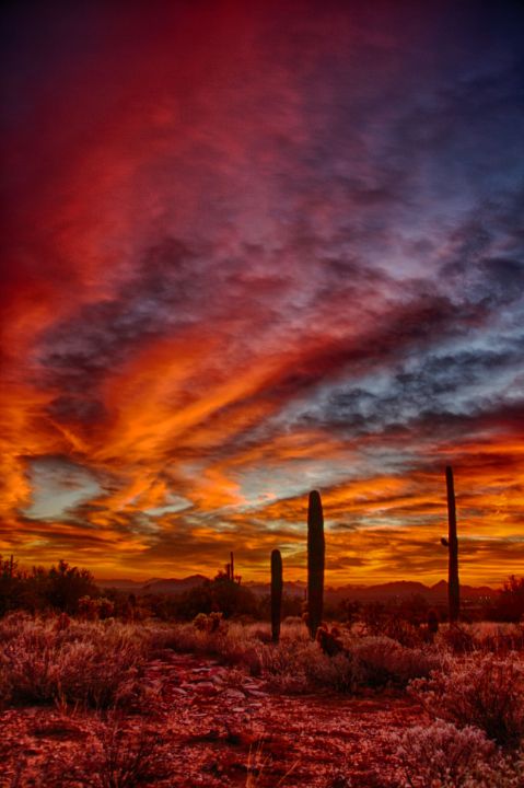 Stars Come Out At Night - Rob Lopez Photography - Photography ...