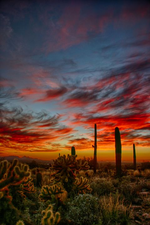 Feeling Fine - Rob Lopez Photography - Photography, Landscapes & Nature ...