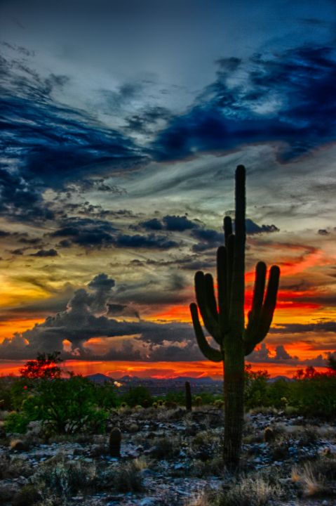 Have a Heart - Rob Lopez Photography - Photography, Landscapes & Nature ...