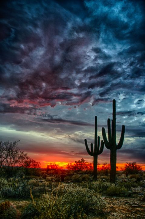 Going Insane - Rob Lopez Photography - Photography, Landscapes & Nature ...