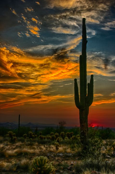 Are You with Me - Rob Lopez Photography - Photography, Landscapes ...