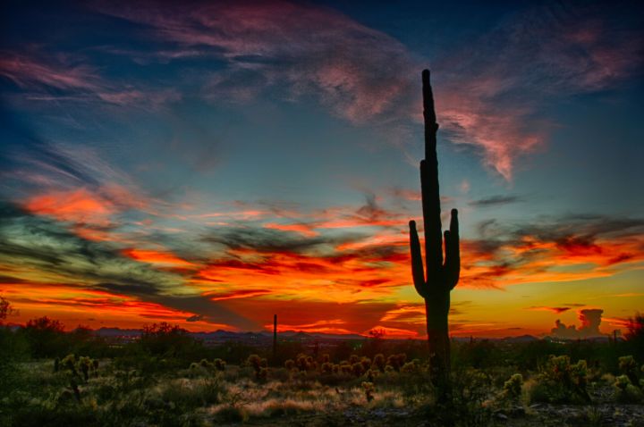 Fall is Here - Rob Lopez Photography - Photography, Landscapes & Nature ...