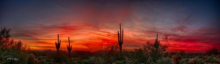A Splash of Red - Rob Lopez Photography - Photography, Landscapes ...