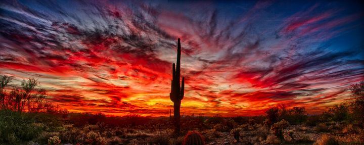 One Life to Live - Rob Lopez Photography - Photography, Landscapes ...