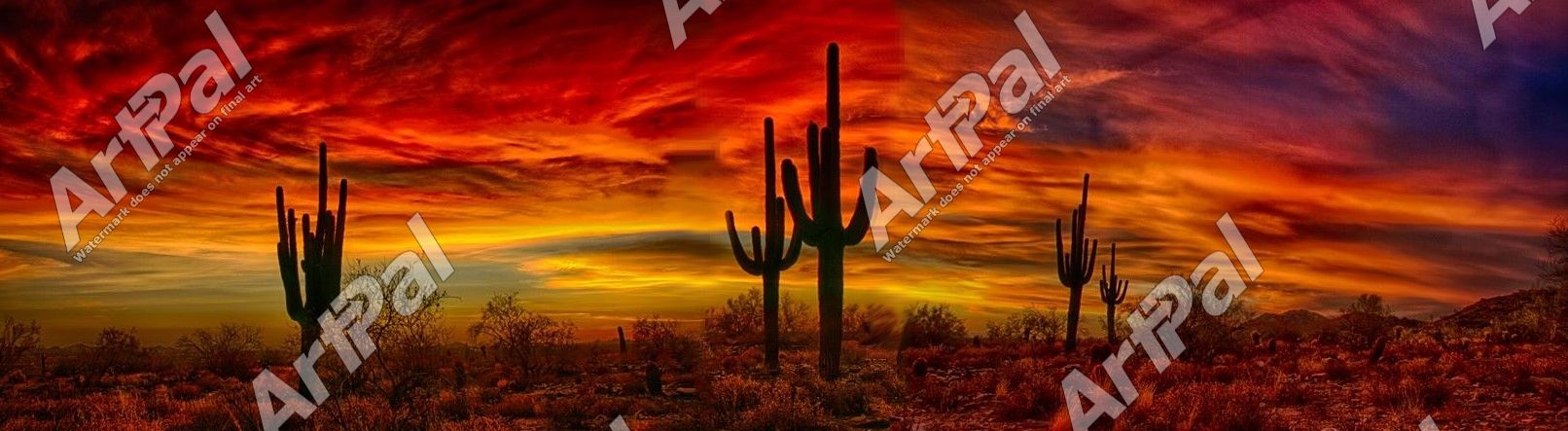 Once In A Life Time - Rob Lopez Photography - Photography, Landscapes ...